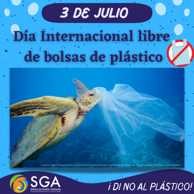 3 de julio: Día Internacional Libre de Bolsas de Plástico | Sistema de Gestión Ambiental